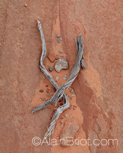 Alain Briot Fine Art Photography